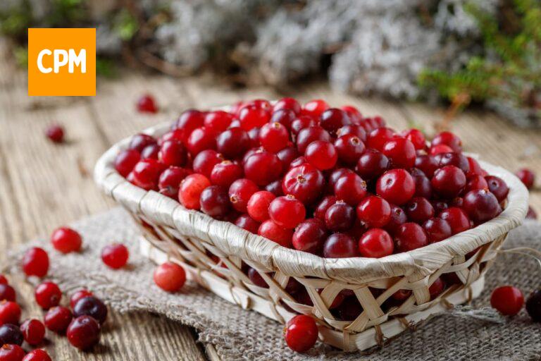 Suco cranberry: Para que serve, receita e dicas importantes