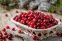 Suco cranberry: Para que serve, receita e dicas importantes