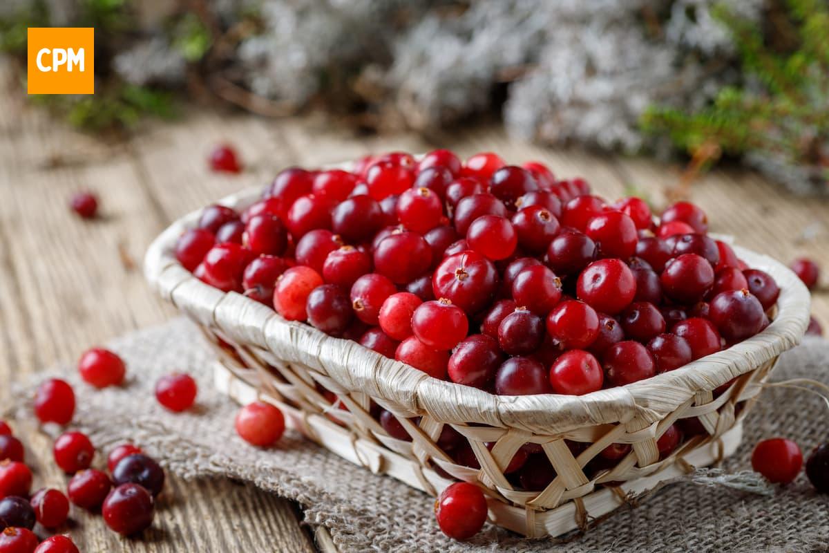 Suco cranberry: Para que serve, receita e dicas importantes