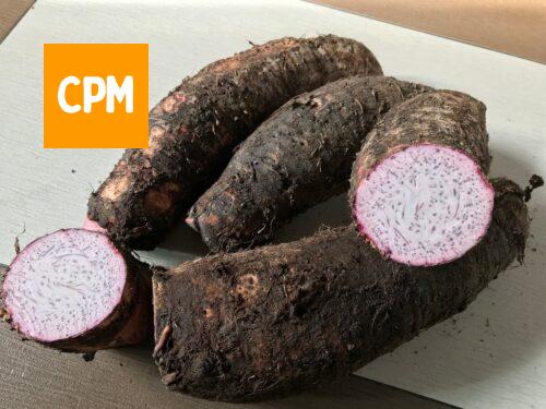 Suco de inhame: Receita prática e principais benefícios